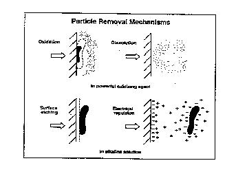 Surface Cleaning - Speciliaze in Industry Cleaning Process